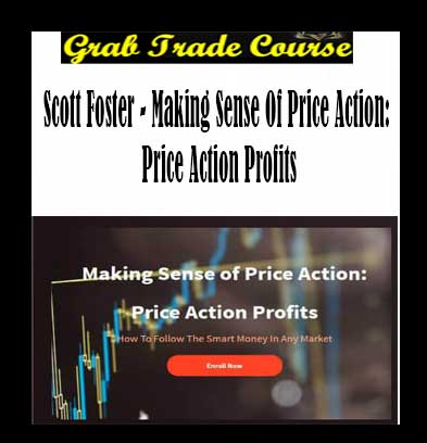Scott Foster – Making Sense Of Price Action: Price Action Profits ...